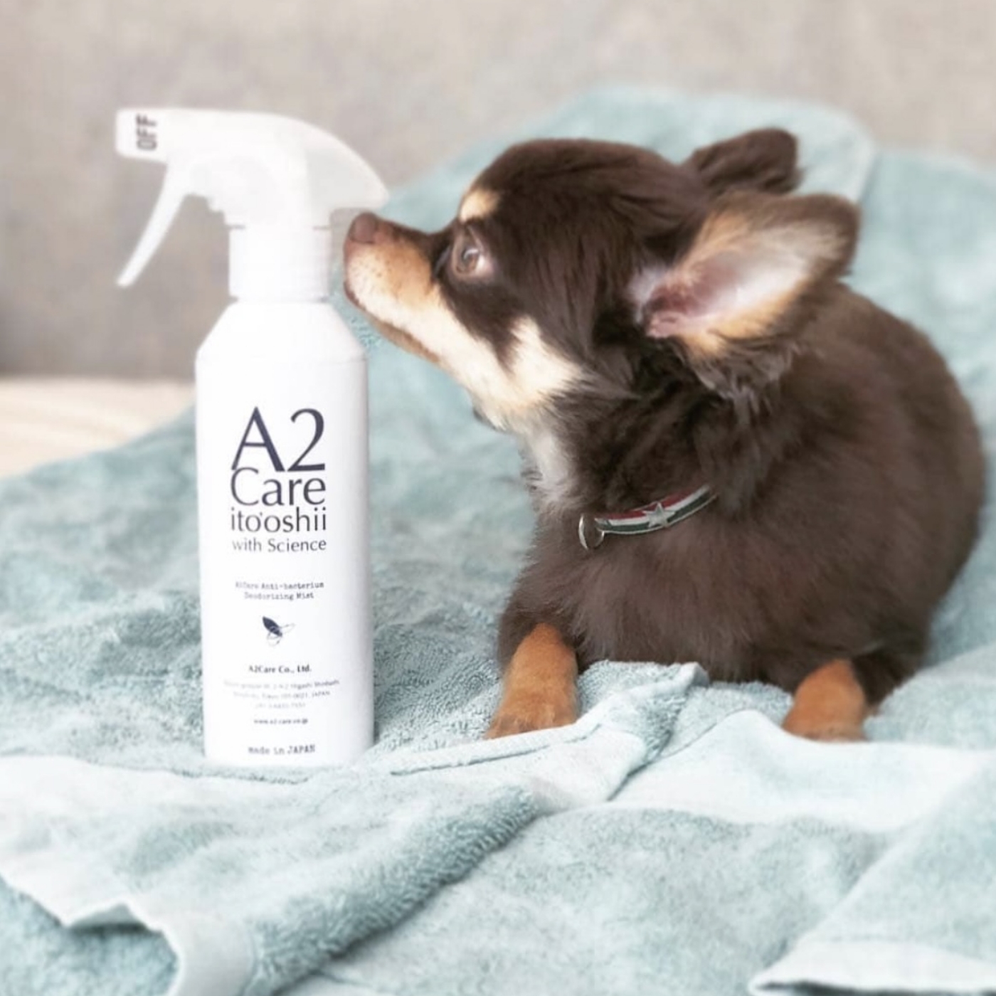 A2Care｜大切なペットアイテムにも【エーツーケア】｜全日空商事