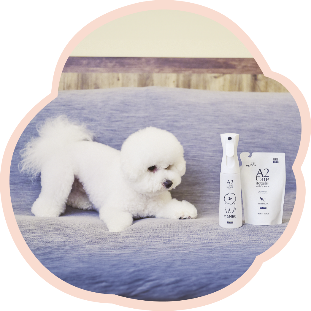 A2Care｜MAMBOとコラボしたペット用スプレーボトルが登場！【エーツーケア】｜全日空商事