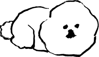 A2Care｜MAMBOとコラボしたペット用スプレーボトルが登場！【エーツーケア】｜全日空商事