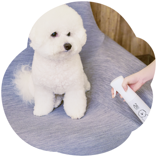 A2Care｜MAMBOとコラボしたペット用スプレーボトルが登場！【エーツーケア】｜全日空商事