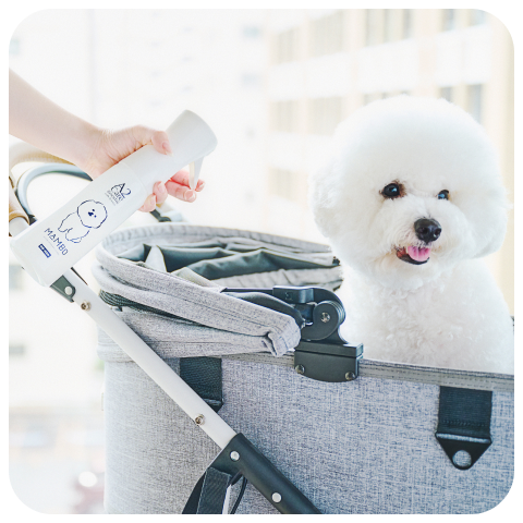 A2Care｜MAMBOとコラボしたペット用スプレーボトルが登場！【エーツーケア】｜全日空商事