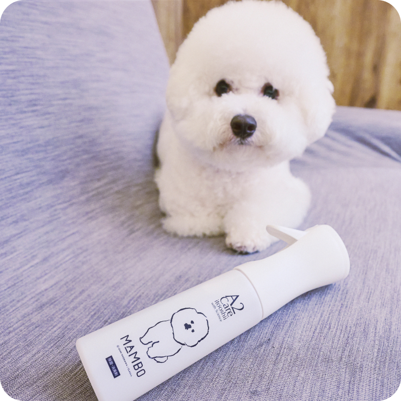 A2Care｜MAMBOとコラボしたペット用スプレーボトルが登場！【エーツーケア】｜全日空商事