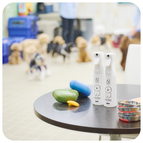 A2Care｜MAMBOとコラボしたペット用スプレーボトルが登場！【エーツーケア】｜全日空商事